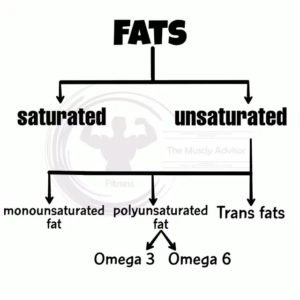 What Are Healthy Fats And Unhealthy Fats? Types Of Fats. | The Muscly ...